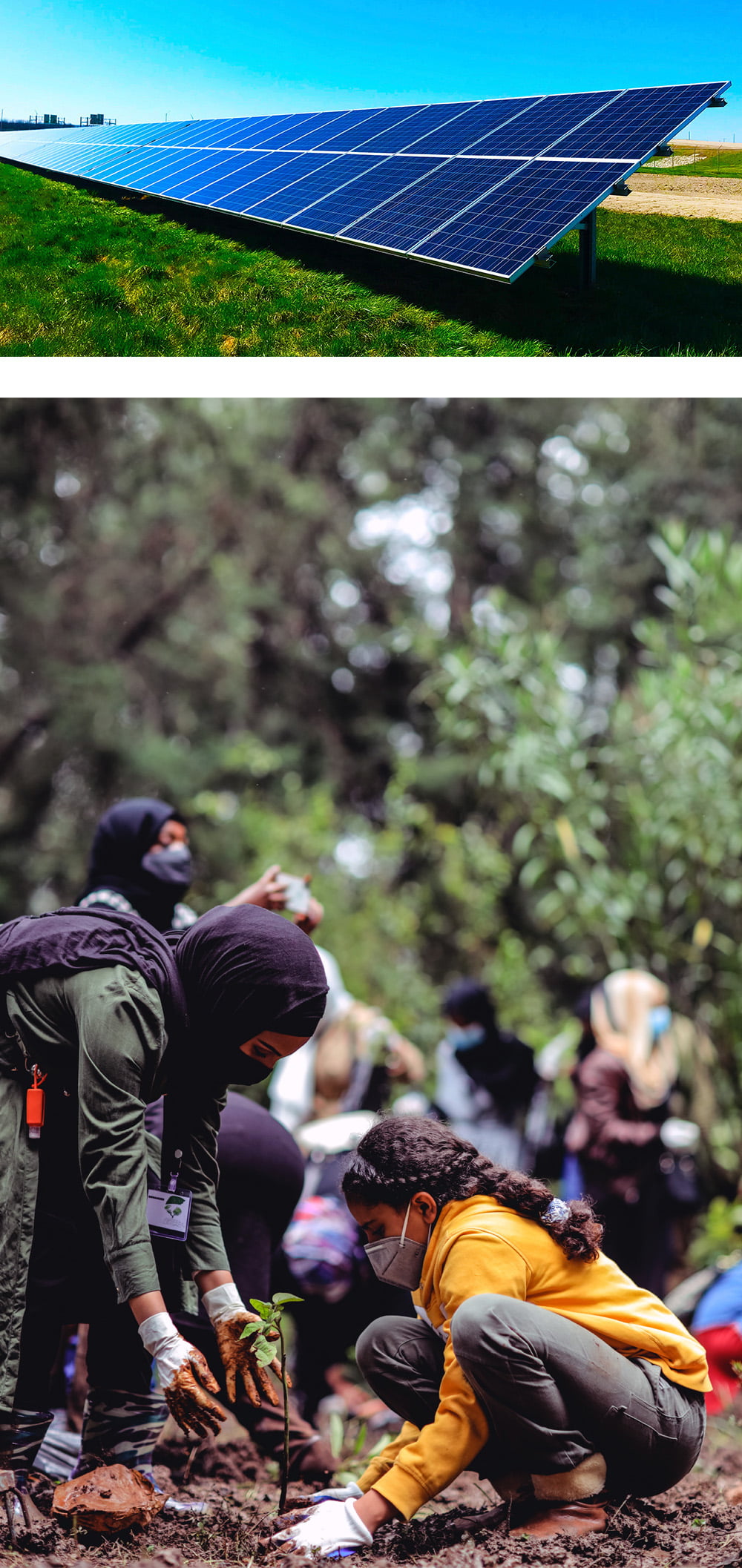 Sustainability Committee - Administration and Campus Operations - The ...