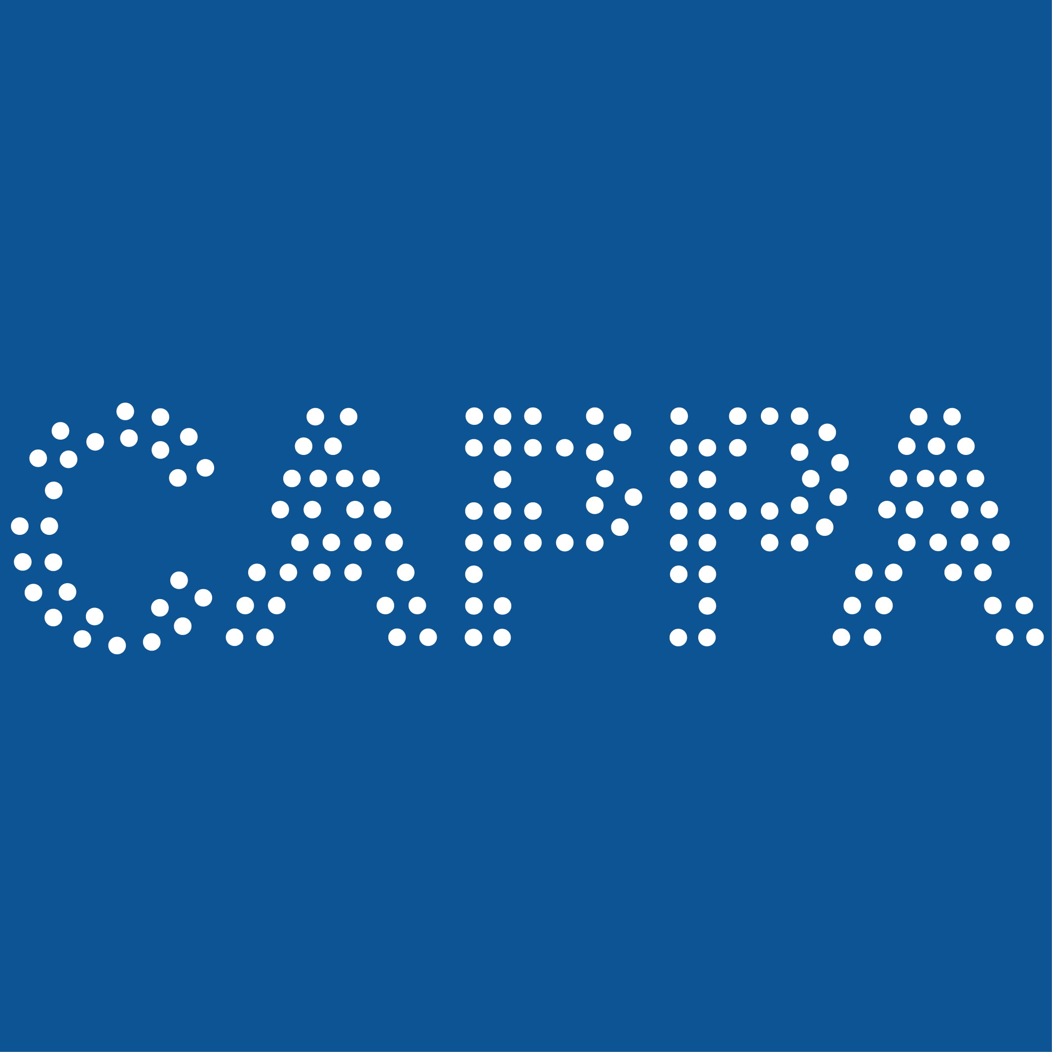 School of Architecture Faculty - CAPPA - The University of Texas at ...