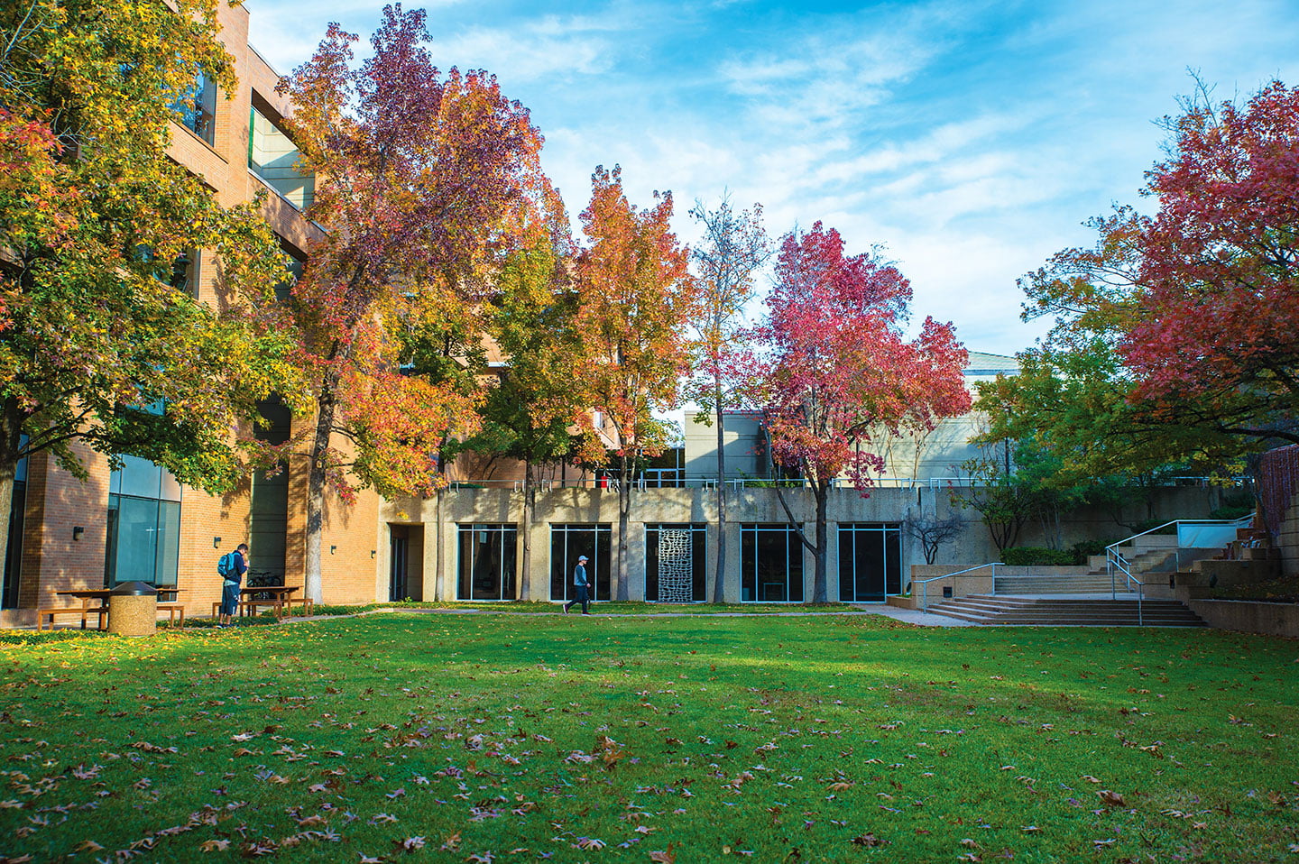 Supporting CAPPA - CAPPA - The University of Texas at Arlington