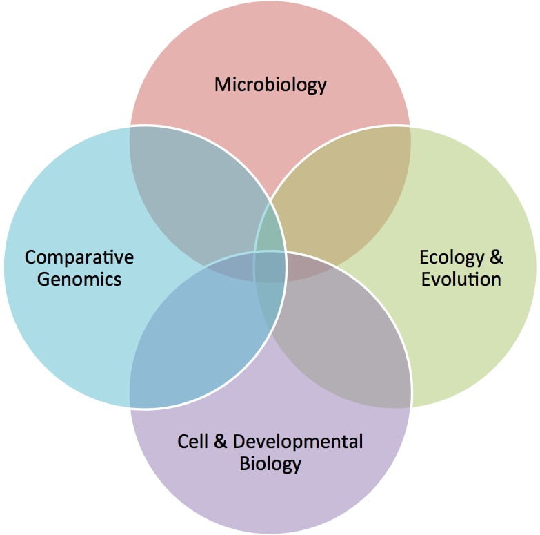 About - Department of Biology - The University of Texas at Arlington
