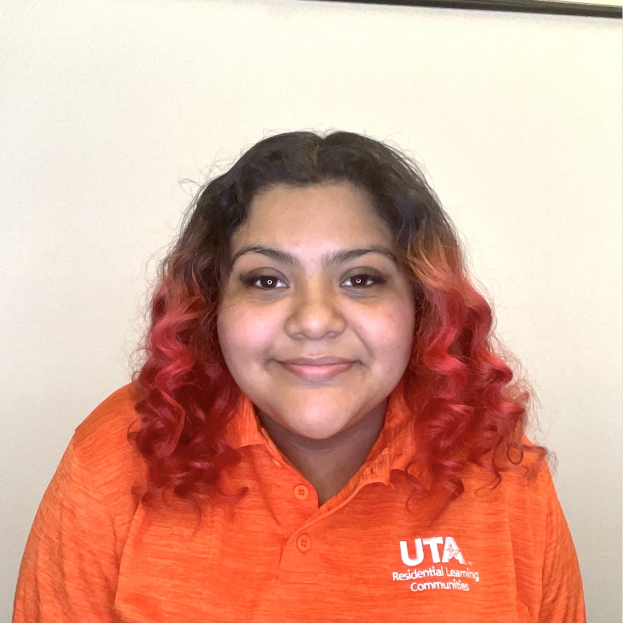 Residential Peer Mentors - Division of Student Success - The University ...